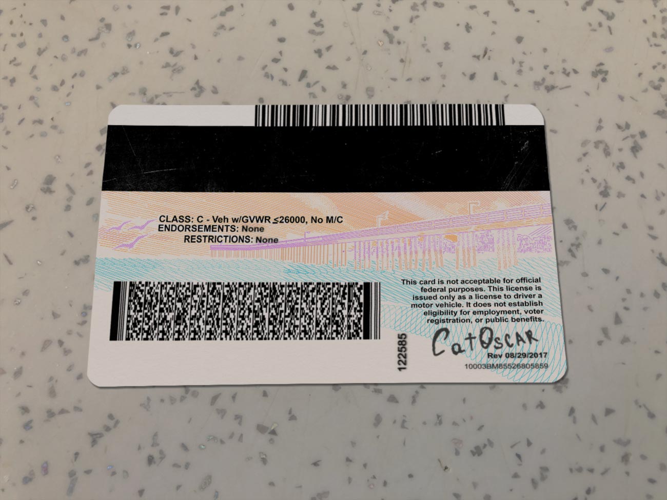 California Driver License PSD Template – PSD Craftify