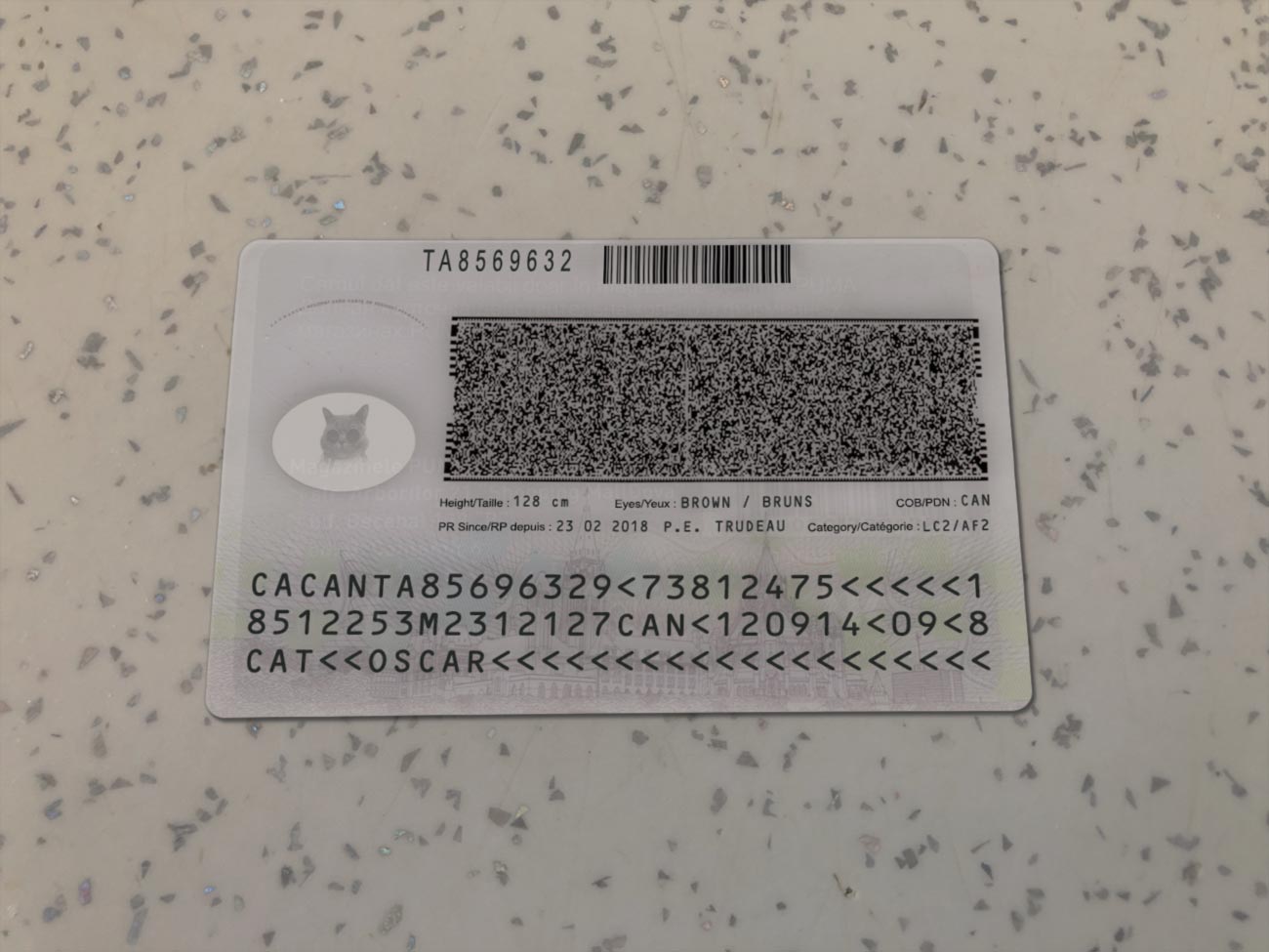 Canada Residence Permit PSD Template – PSD Craftify