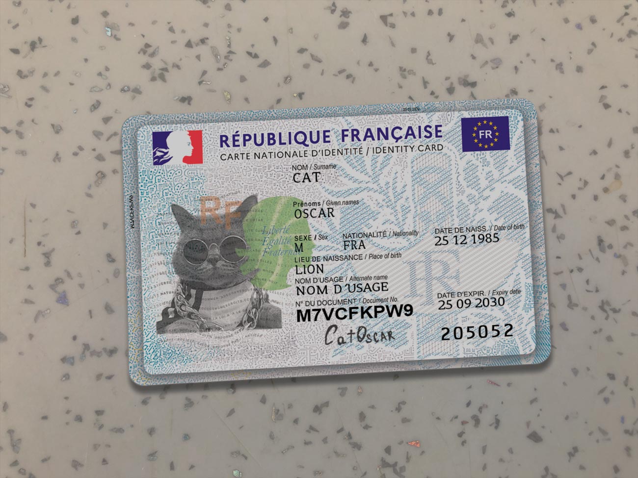 France Identity Card PSD Template – PSD Craftify