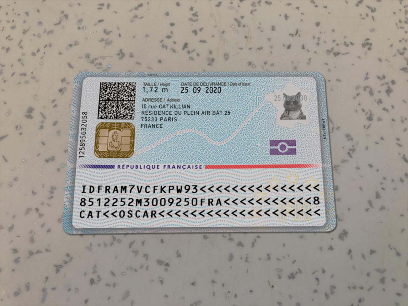 France Identity Card PSD Template – PSD Craftify